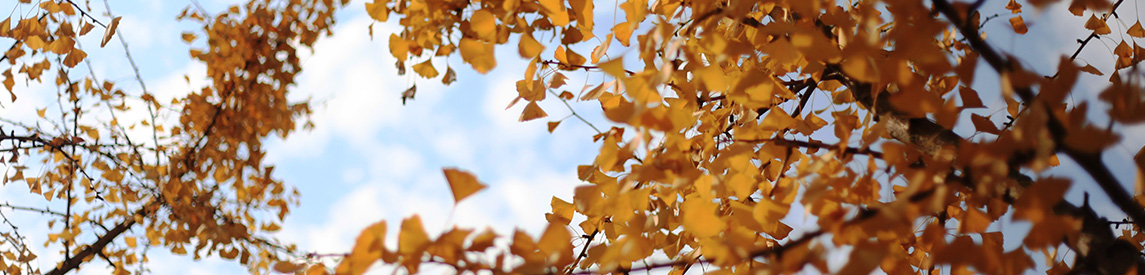 学校简介 About JSUT